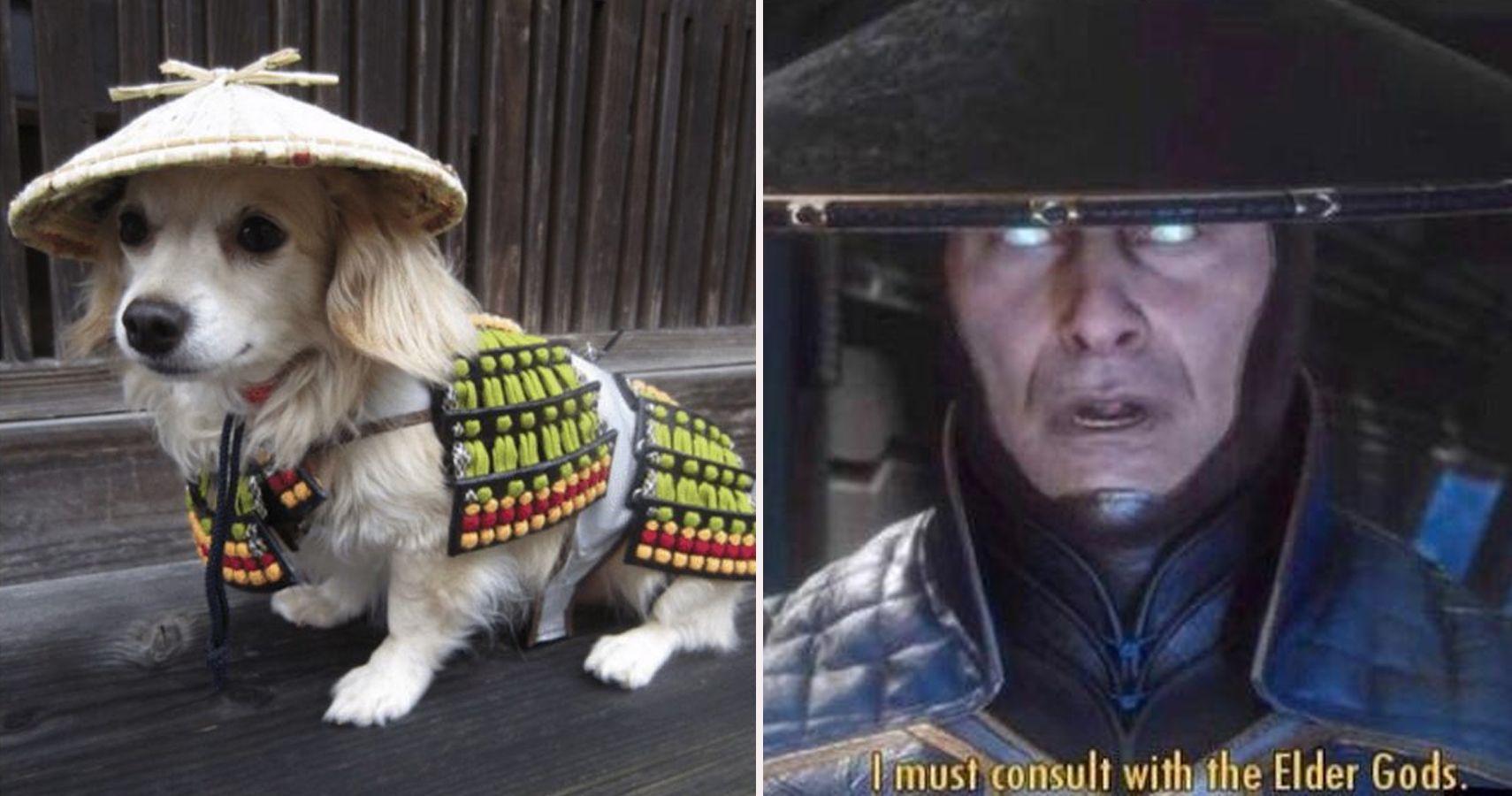 Raiden Mgs Memes
