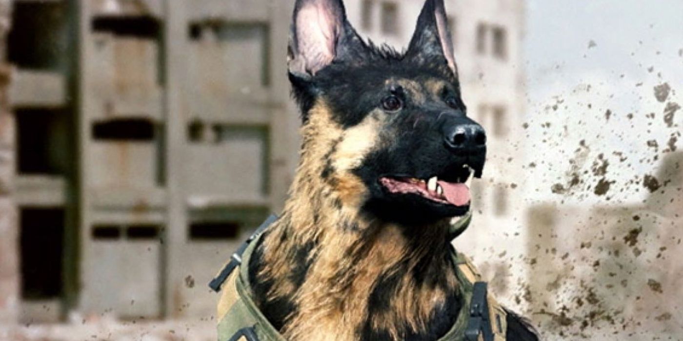 YouTuber Teaches Dog To Play Call of Duty: Warzone | Game Rant