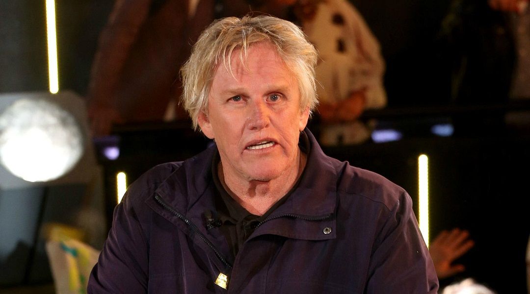 Hitman's Next Elusive Target is Actor Gary Busey | Game Rant